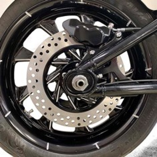 M8 Softail Rear Brake Calipers