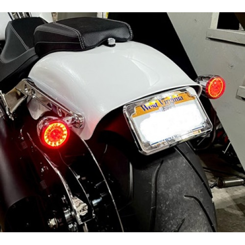 M8 "Breakout" Curved License Plate Kit
