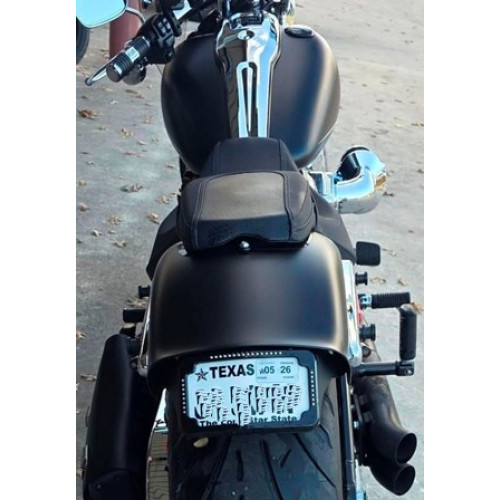 M8 "Breakout" Curved License Plate Kit