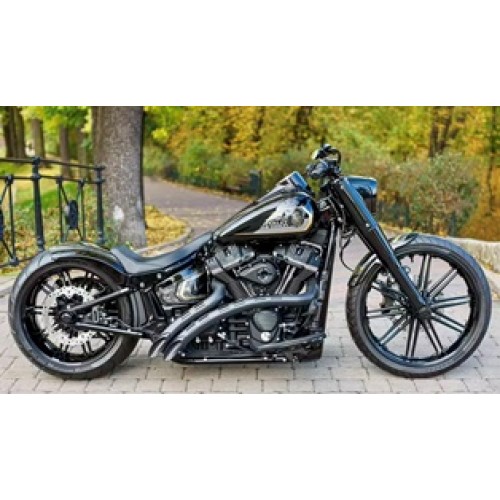 Bassani "Radial Sweepers" Exhaust