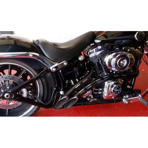 Bassani "Radial Sweepers" Exhaust