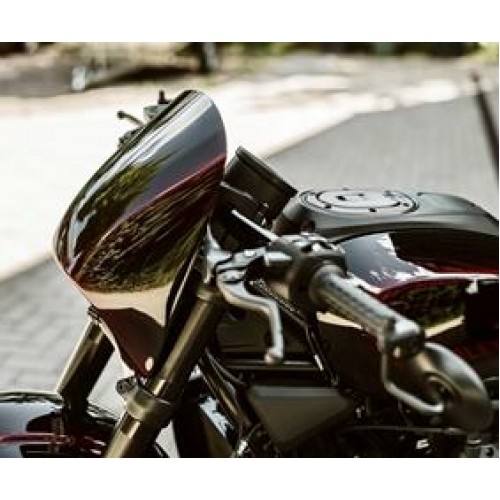 M8 Sportster S "Road Warrior" Cowl