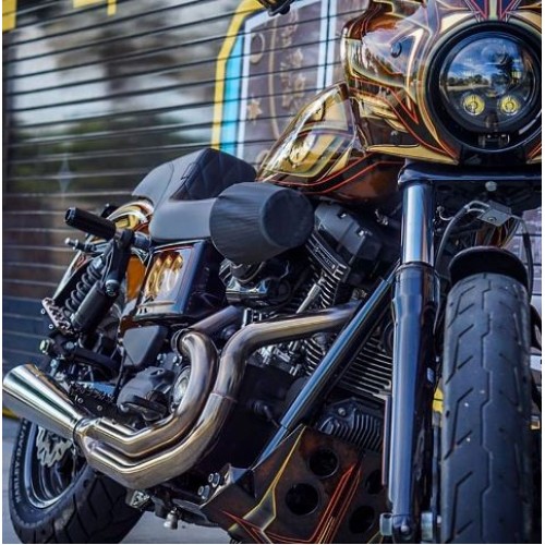 Dyna Frame Rail Covers