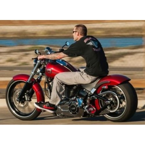 M8 "Air Ride" System for Softails