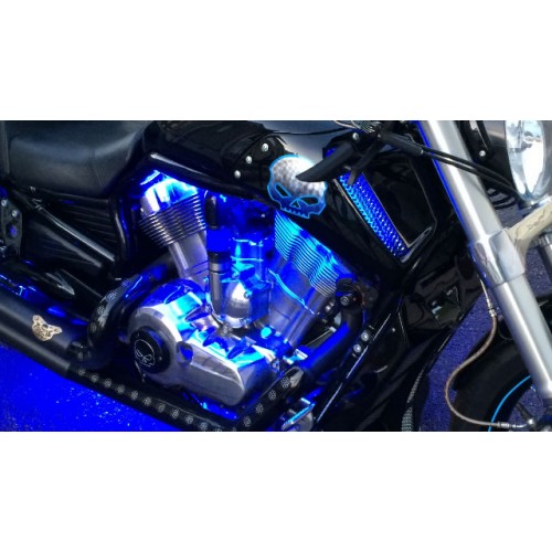 "Killer" Glass Coolant Hose Kit