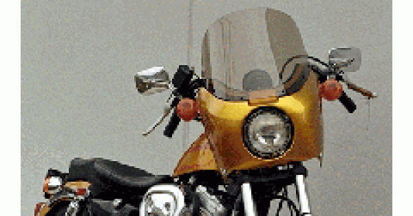 Wide Glide With Rifle Fairing