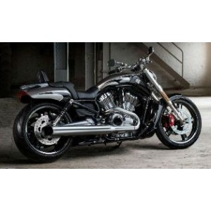 V-ROD MUSCLE